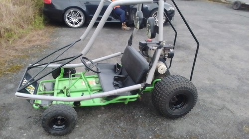 Dingo Grass Buggy Two Seater Green | eBay