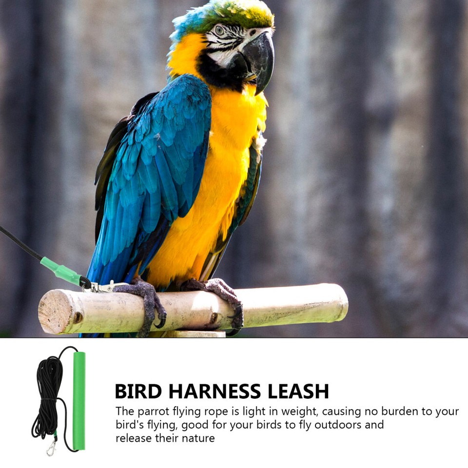 1PC Bird Harness Flying Rope Parrot Flying Harness Budgie Harness ...