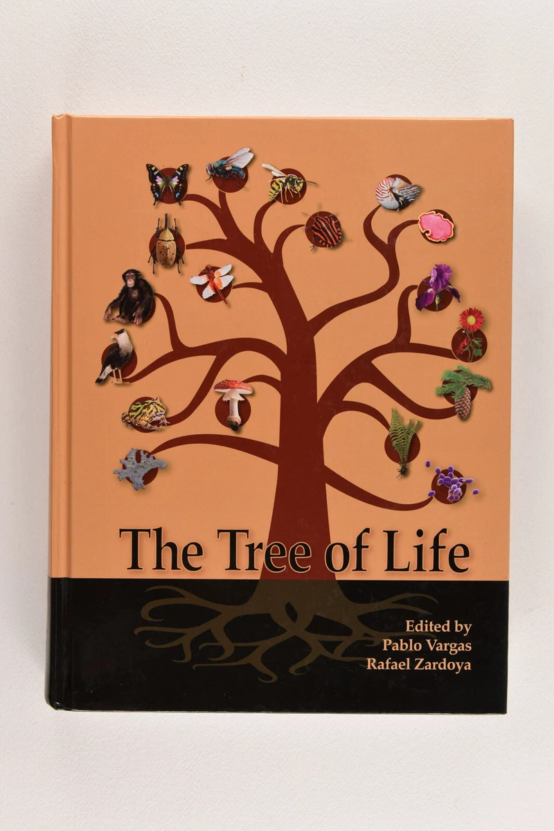 Tree Of Life Evolution Poster