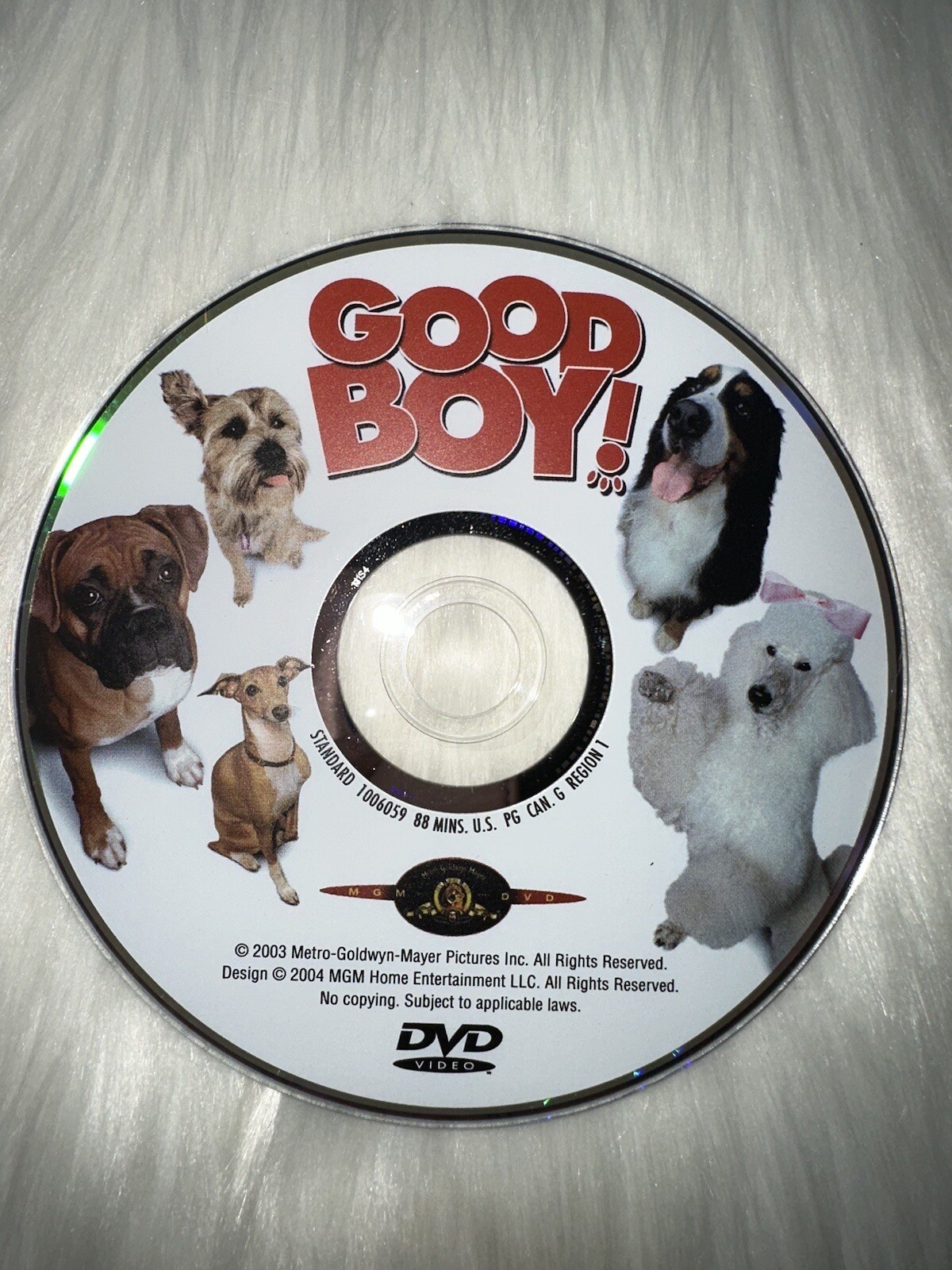 Good Boy (DVD, 2009) DISC ONLY GA 27616902825| eBay