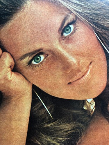 Vintage 1971 Janice Pennington Sexy Playboy subscription original ad only | eBay