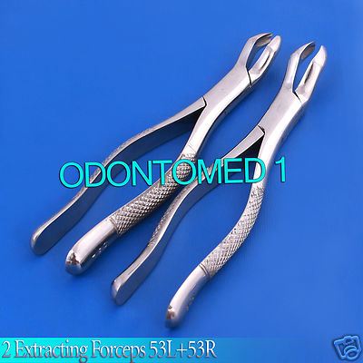 2 EXTRACTING FORCEPS 53L+53R DENTAL SURGICAL INSTRUMENTS | eBay