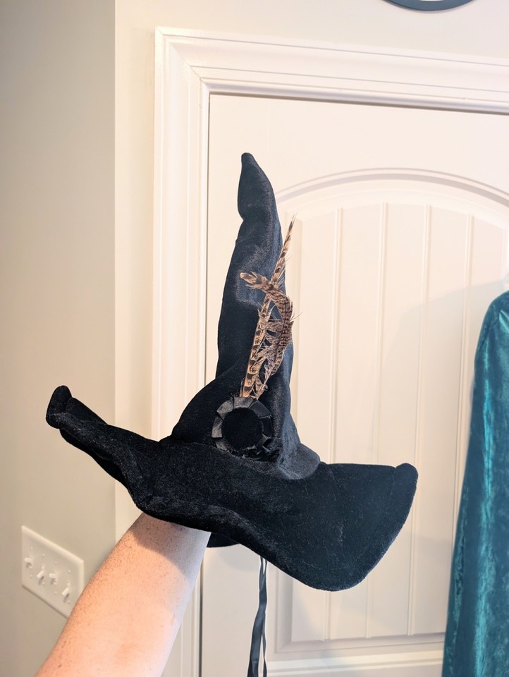 Professor McGonagall Costume Cape And Hat One Size Fits Most | eBay