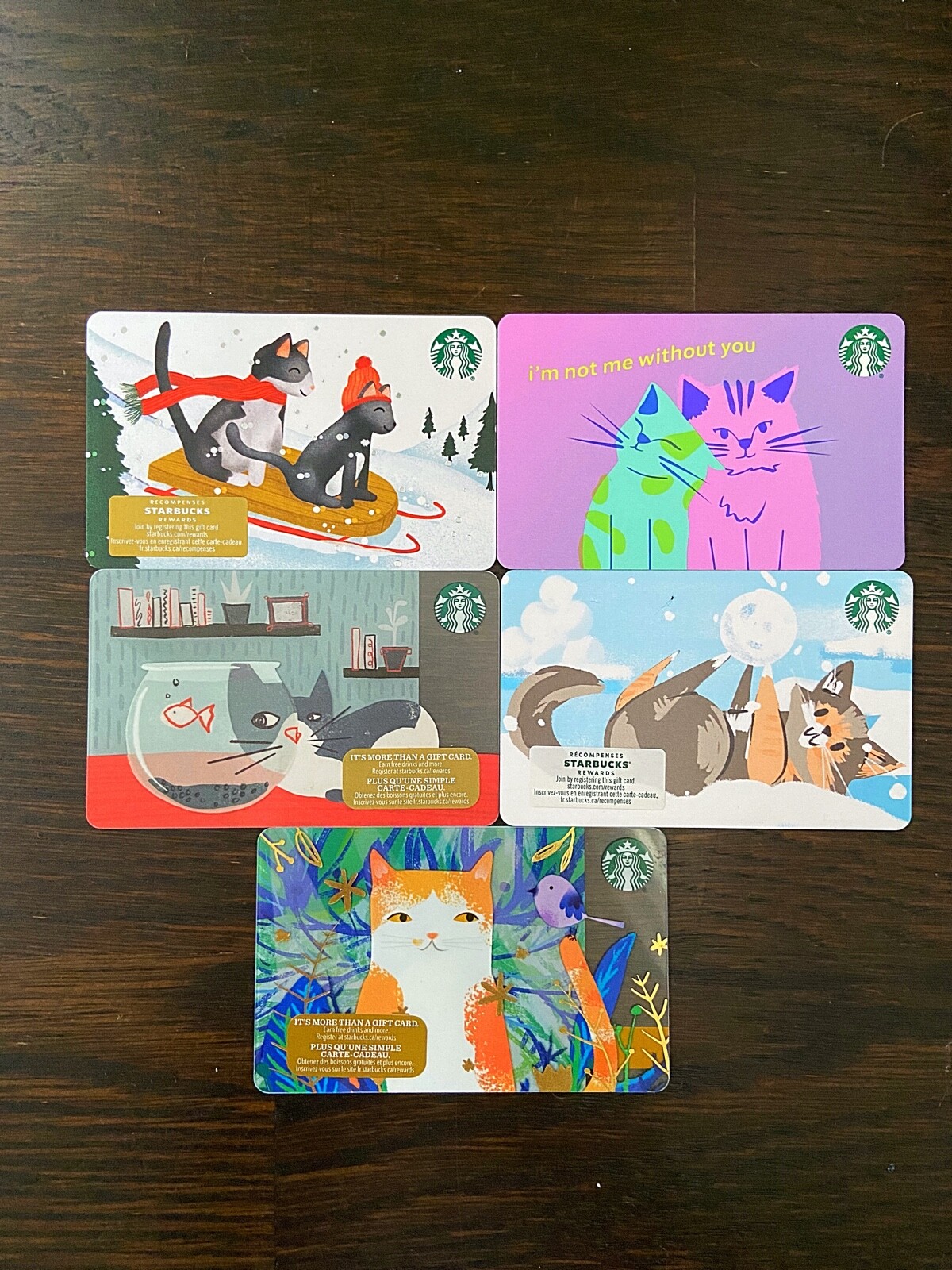 Canada Series STARBUCKS 5 cards "CATS & KITTENS - VARIOUS YEARS" New No ...