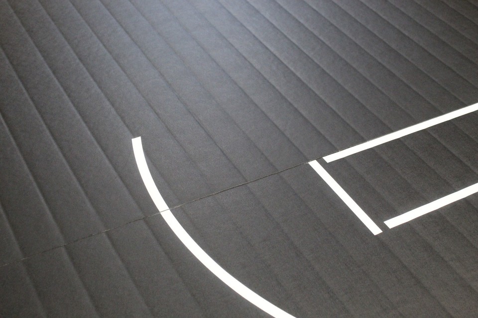 Dollamur 10’x10’x1.25” MMA Wrestling Mat, Red, Home Workouts, Exercise ...