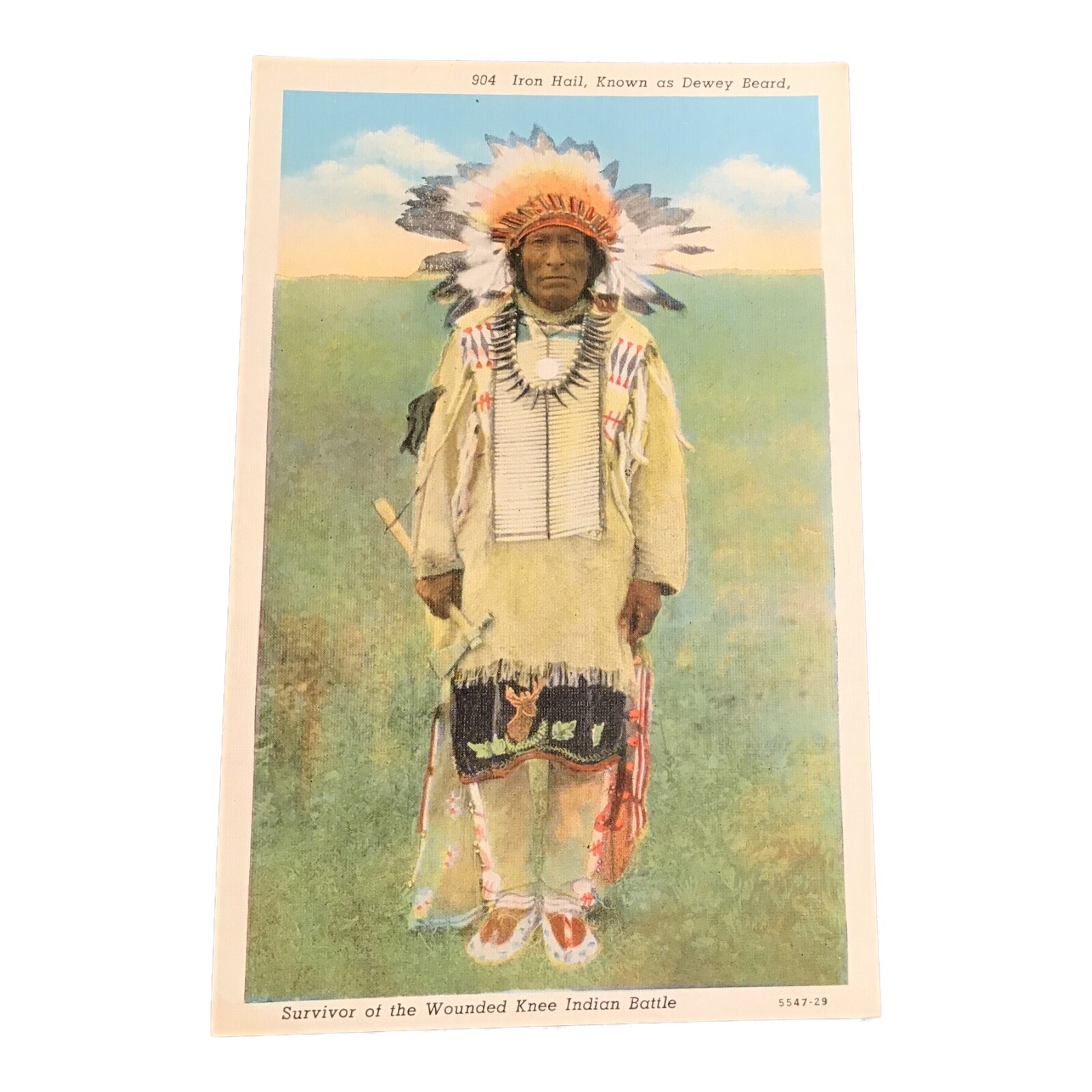 Mint USA Postcard Native American Indian Sioux Iron Hail Wounded Knee ...