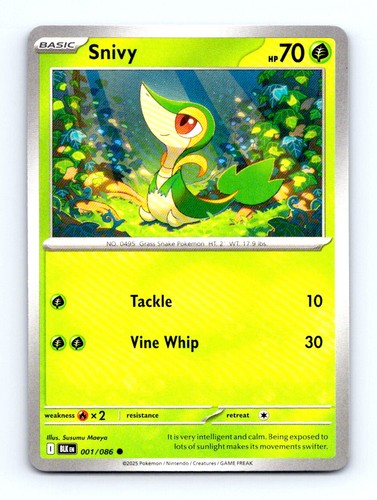 #1 2025 Pokemon Black Bolt * Snivy BASE | eBay