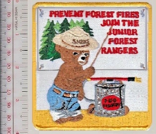 Smokey the Bear Junior Forest Rangers US Forest Service USFS 'Prevent ...