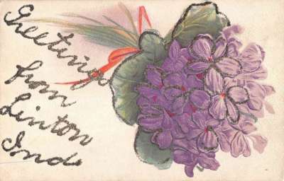 Linton Indiana Flower Glitter Greeting Antique Postcard K100324 | eBay
