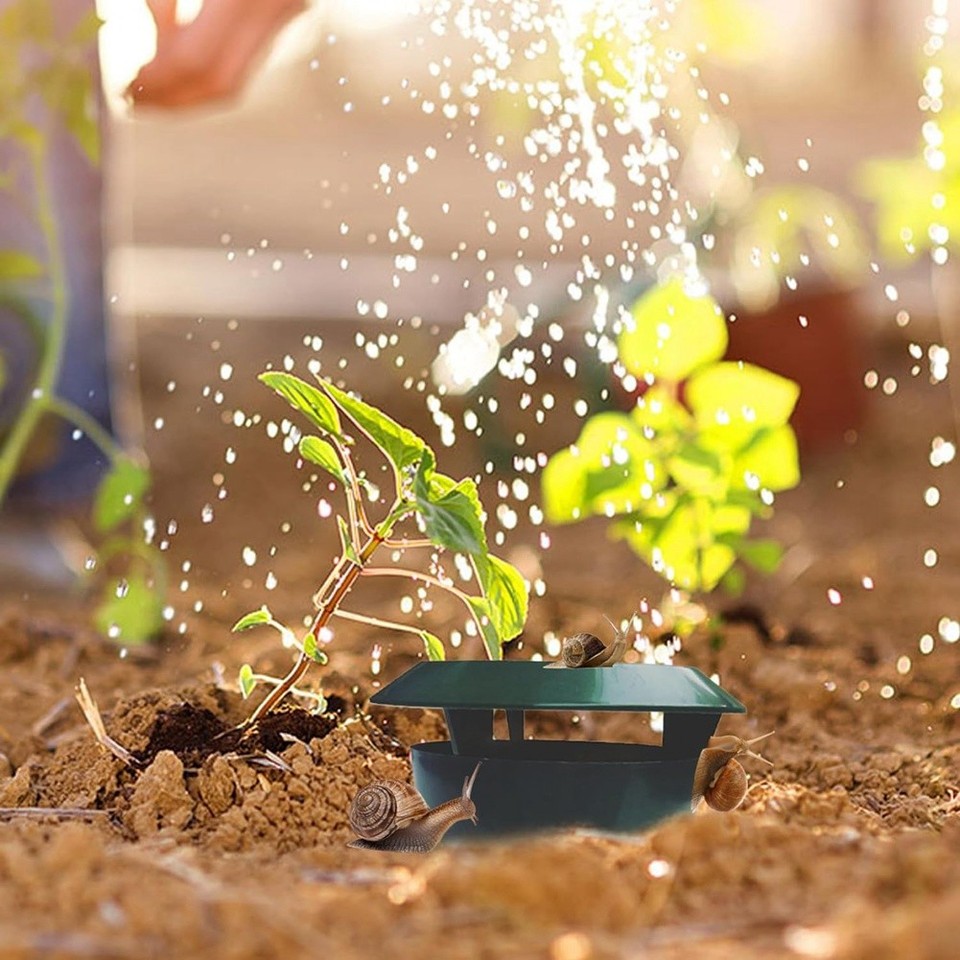 Garden Snail Trap, Environmentally Friendly Non- Plastic Capture Box ...