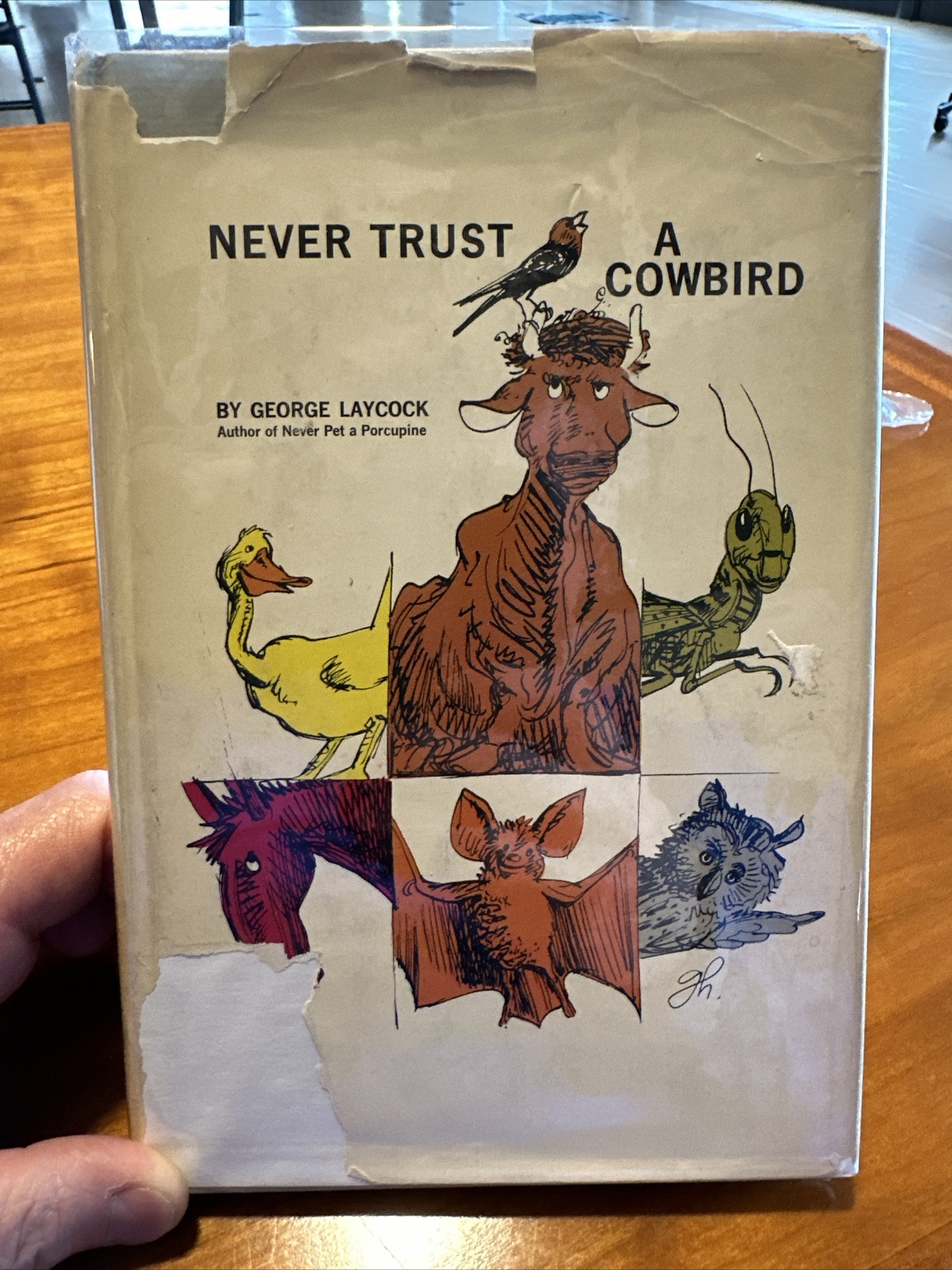 Never trust a cowbird by George Laycock HC DJ 1964 Photographs Of ...