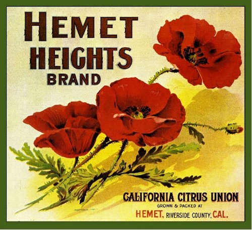 Hemet California Poppy Flower Orange Crate Label Art | eBay