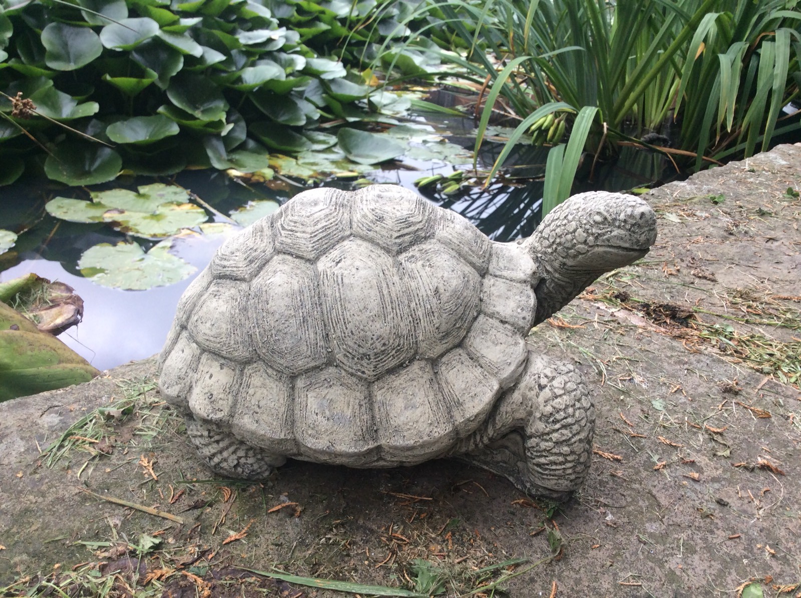 STONE GARDEN TORTOISE / TURTLE ANIMAL GARDEN ORNAMENT / PRESENT🐢 | eBay UK