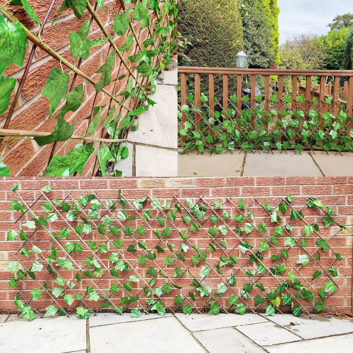 Trellis With Ivy Latticed Wall Trellis |Climbing Plant Supports