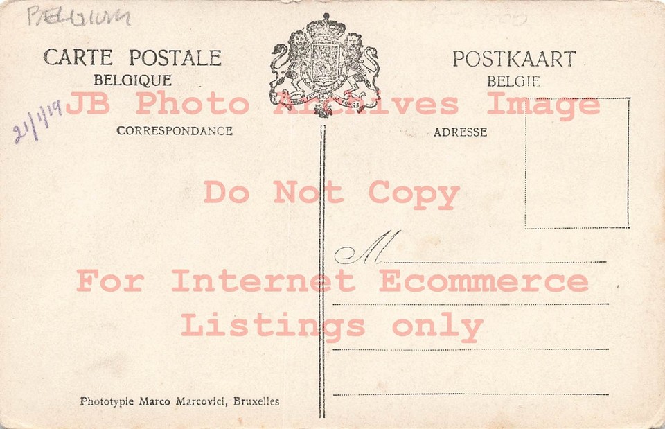 Belgium, Waterloo, Pansy Multi-View Scenes, Marco Marcovici | eBay