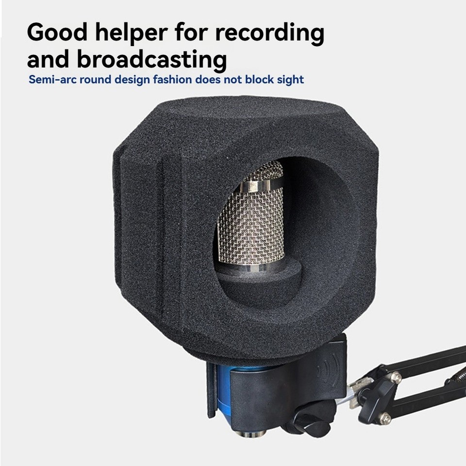 C5 Microphone Wind Shield Acoustic Professional Condenser Mic ...