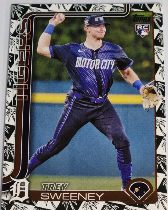 $4.99 MLB Mystery Pack - 8 Cards - 3+ GUARANTEED Rookies & 1+ Inserts ...