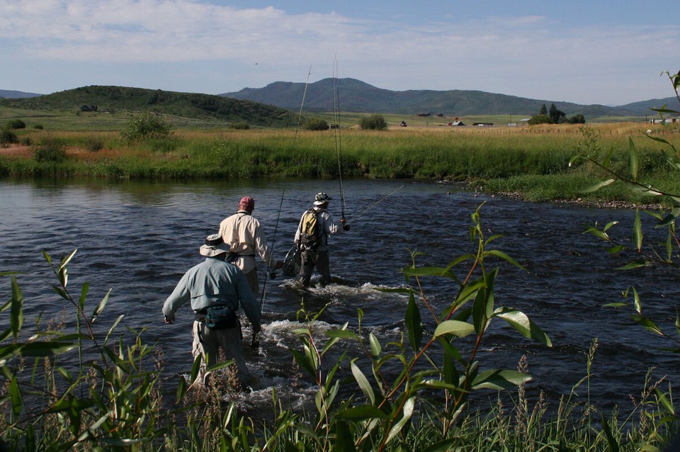 Zebra Midge Tungsten Nymphs Black and Red - Premium Trout Fly Fishing ...