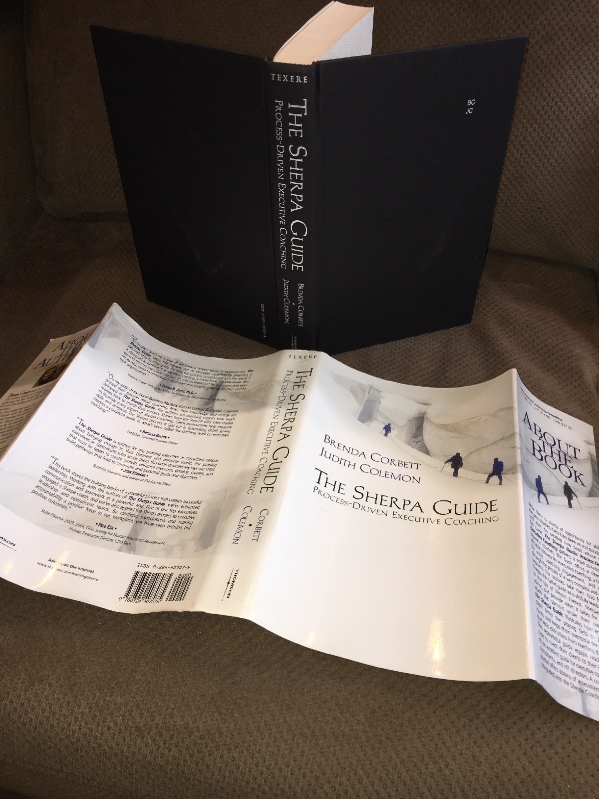 The Sherpa Guide : Process-Driven Executive Coaching by Judith Colemon ...