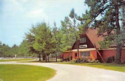 Madison Florida Spanish Trails KOA Exterior Vintage Postcard KK1743 | eBay