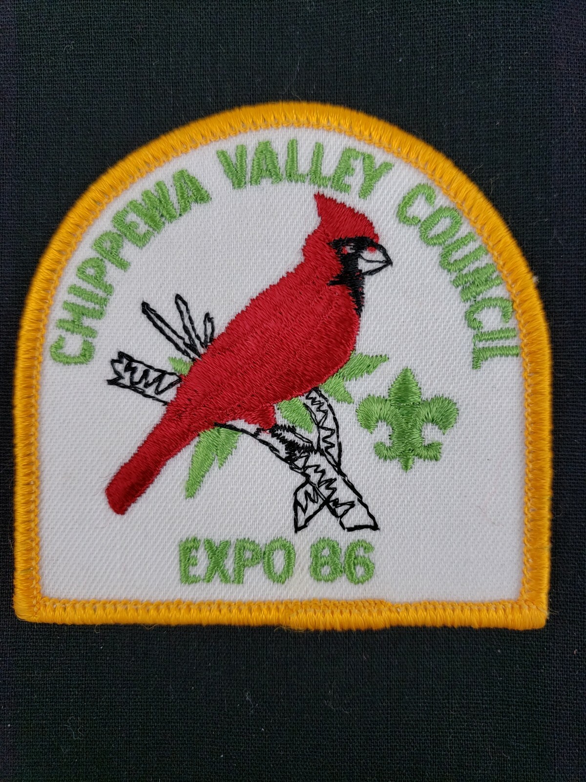 Vintage BSA Boy Scouts of America Chippewa Valley Council 1986 Scout ...