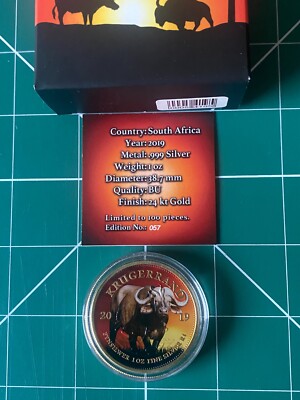 South Africa, Big5, 2019, Krugerrand, 1oz silver, coloured Buffalo, box ...