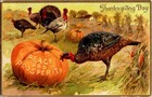 Halloween - Great Spooky Vintage Postcard j/09 AX6487 | eBay