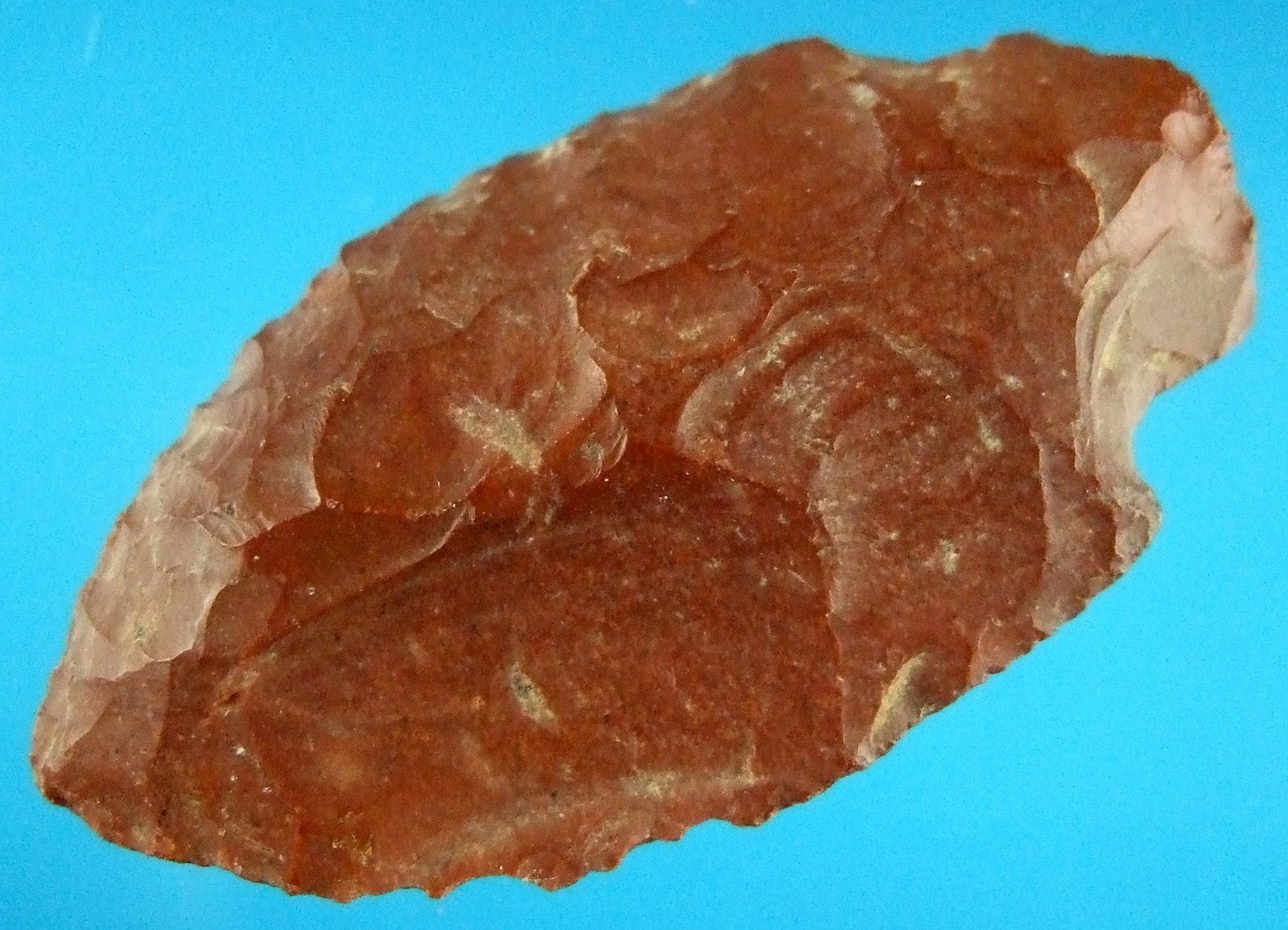 Very Fine Authentic Bourbon Co Kentucky Adena Point SCA COA Arrowheads ...