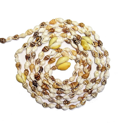 Shell Necklace Shell Garland Shells Garland Maritime Decoration Beige ...