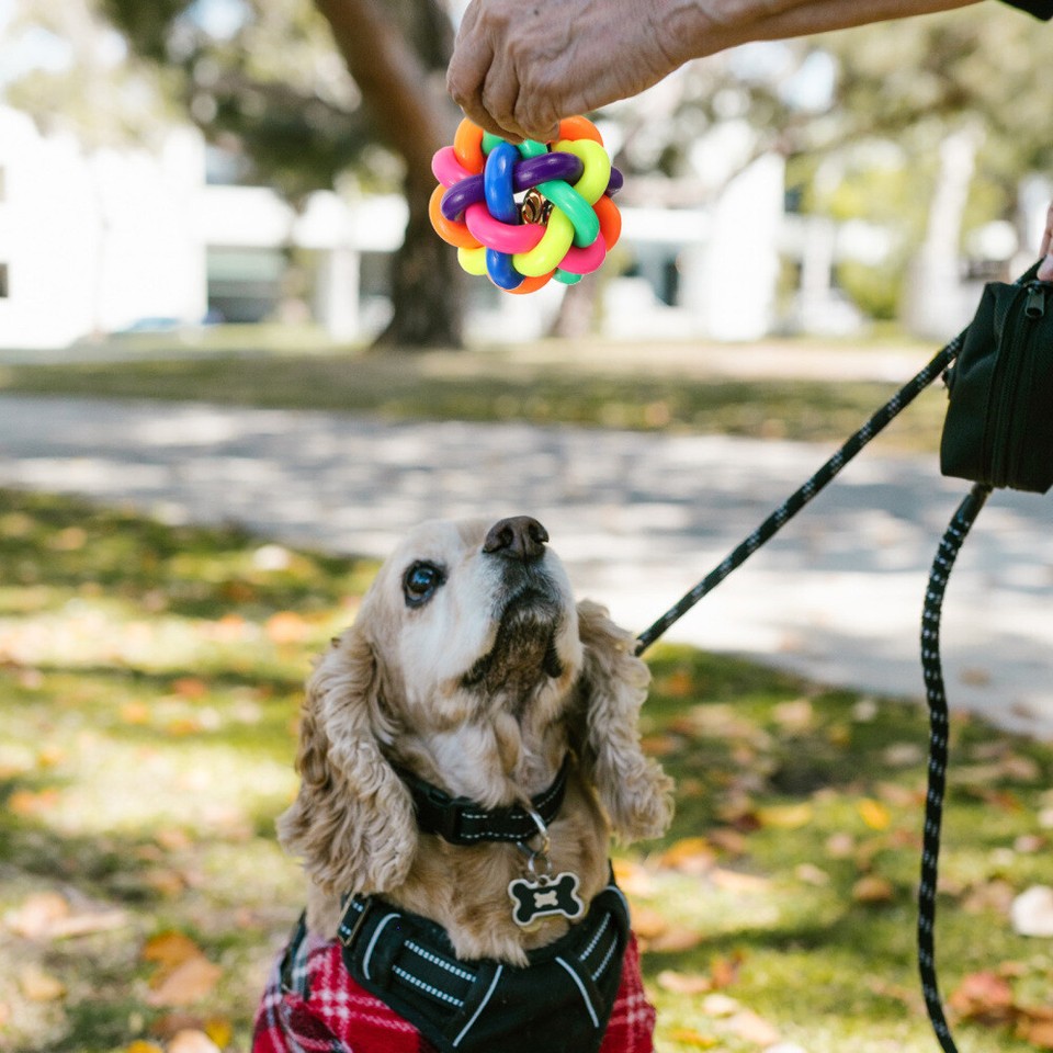 Fluffy Stuffed Animals Squeaky Toys for Dog Puppies Dogman Pet Small ...