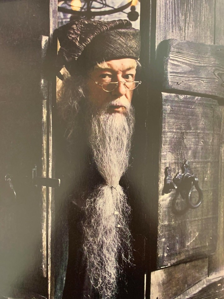 Harry Potter ~ Wanded Harry & Dumbledore Behind Door ~ Double Sided 12 ...