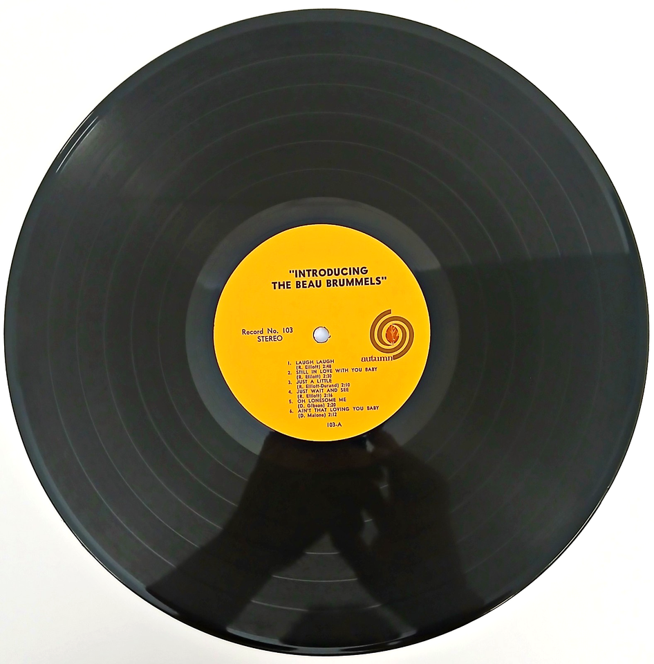 Introducing The Beau Brummels - 1965 Vinyl LP - Garage Rock / Beat Rock ...