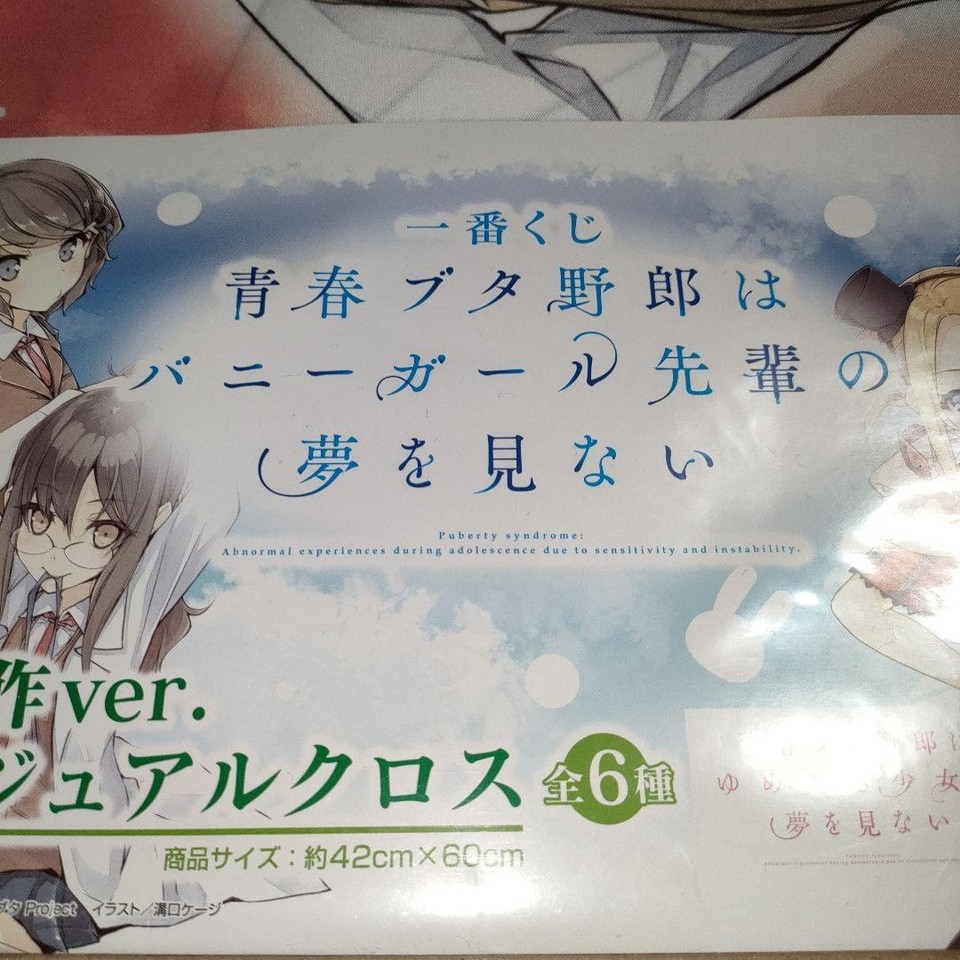 Rascal Does Not Dream of Bunny Girl Senpai Rio Futaba Original Ver ...