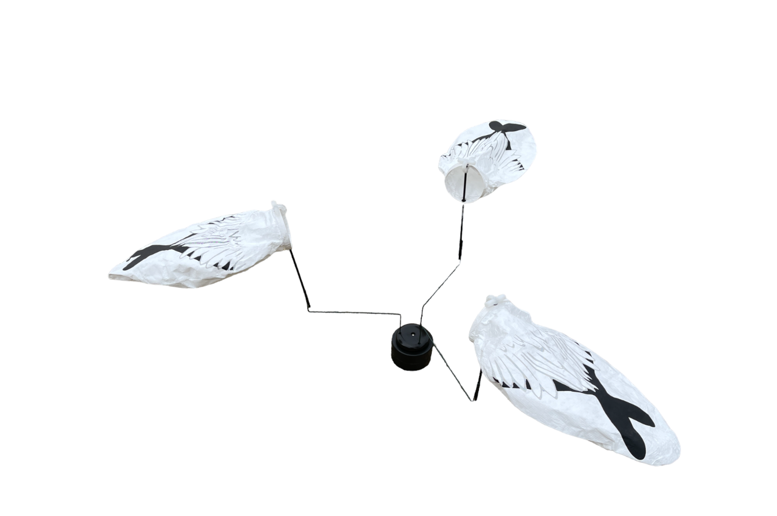 Snow Goose Sock Rotating Machine. Motion Rotary Machine, Snow Goose ...