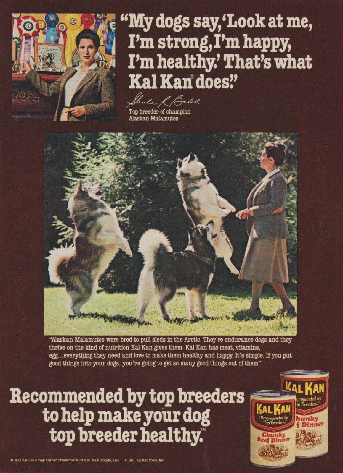 1980 Kal Kan Dog Food - Top Breeder Champion Alaskan Malamutes - Print ...