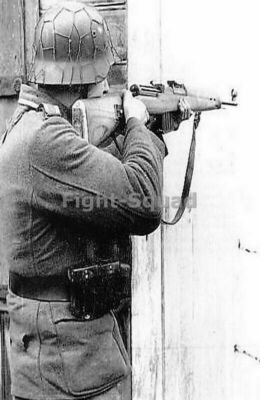 WW2 Picture Photo German soldier with a Gewehr 43 semi-automatic rifle ...