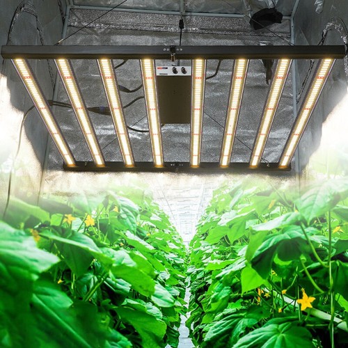 Spider 6500W LED Grow Light Full Spectrum Commercial Grow CO2 Indoor ...