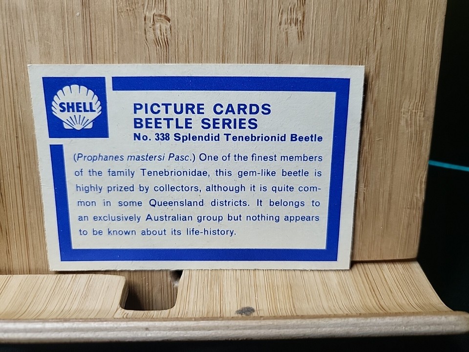 Shell Project Cars AUSTRALIAN BEETLES #338 SPLENDID TENEBRION BEETLE ...