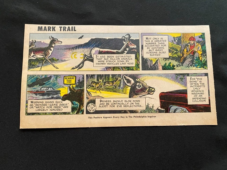 #01 MARK TRAIL by Ed Dodd Lot of 42 Sunday Third Page Comic Strips 1969 ...