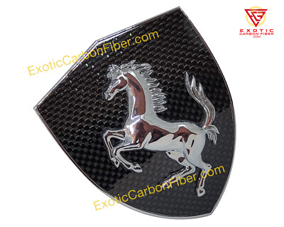 Ferrari 430 Carbon Fiber Fender Shields (Pair) | eBay