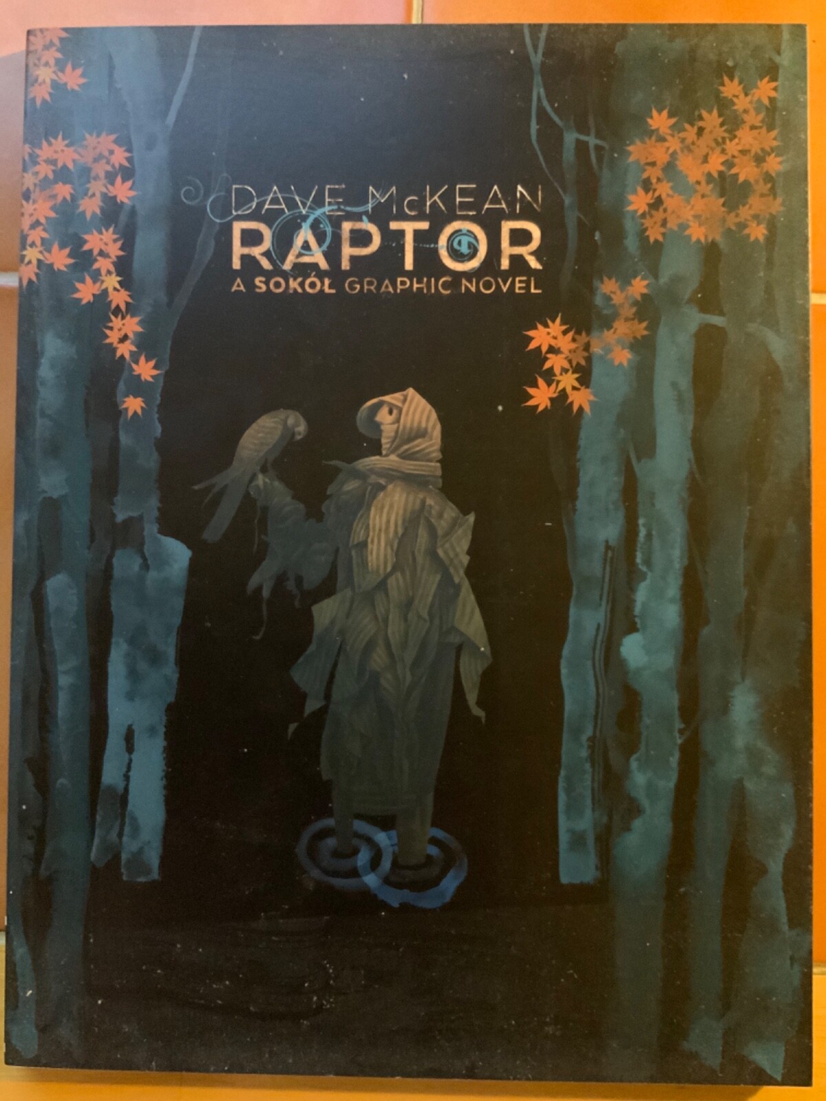 Raptor: A Sokol Graphic Novel by Dave McKean, Dave Mckean (Paperback ...
