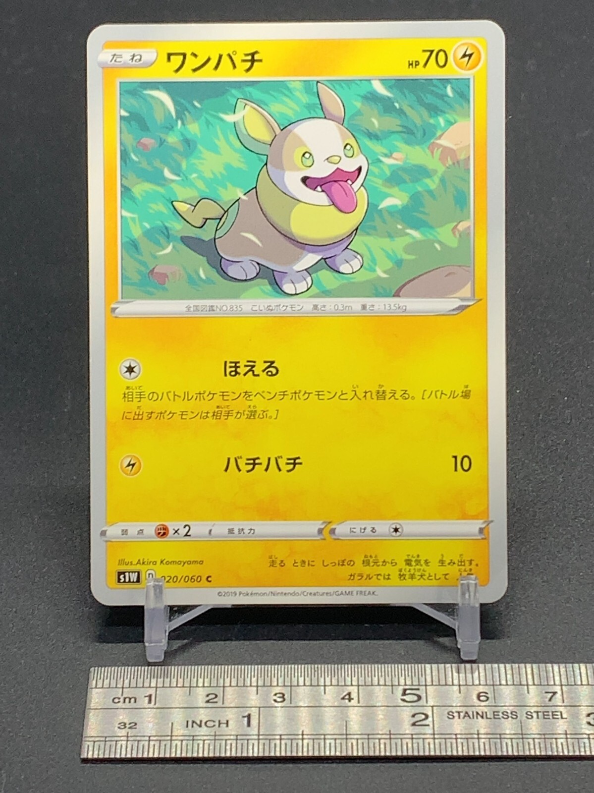 Yamper 020/060 Pokemon Card TCG 2019 Japanese | eBay