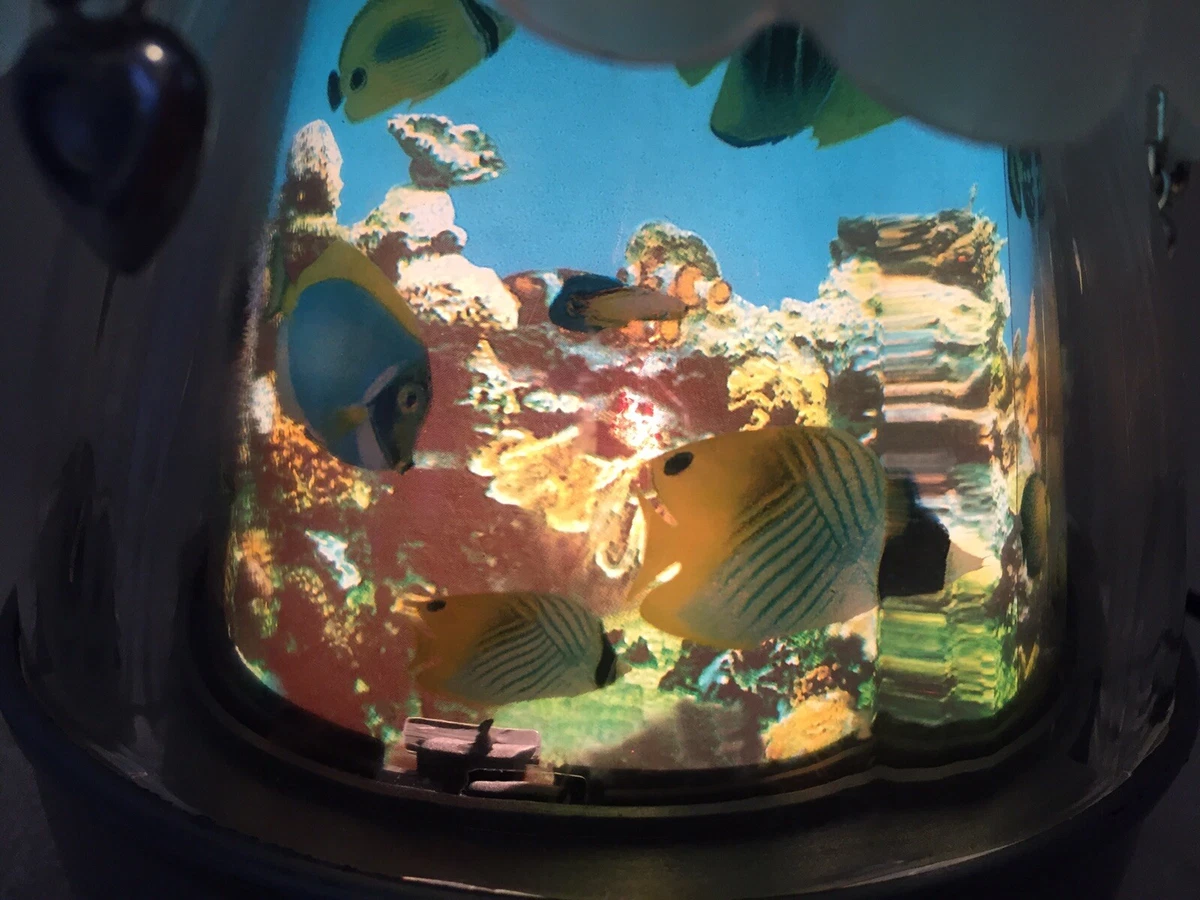 Moving Fish Lamp