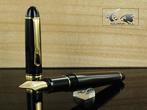 Platinum #3776 CENTURY/Black in Black nib : MUSIC | eBay