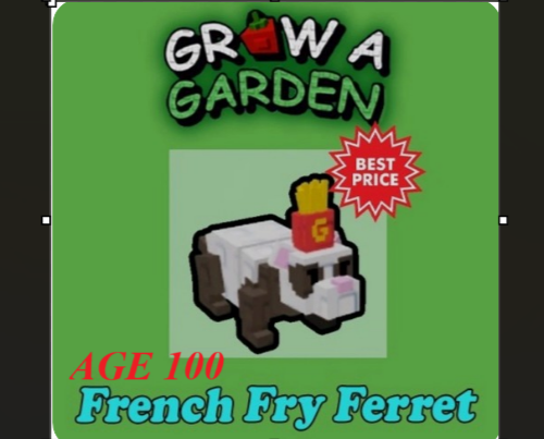 [Age 100] French Fry Ferret - Grow a Garden 🦝 | eBay