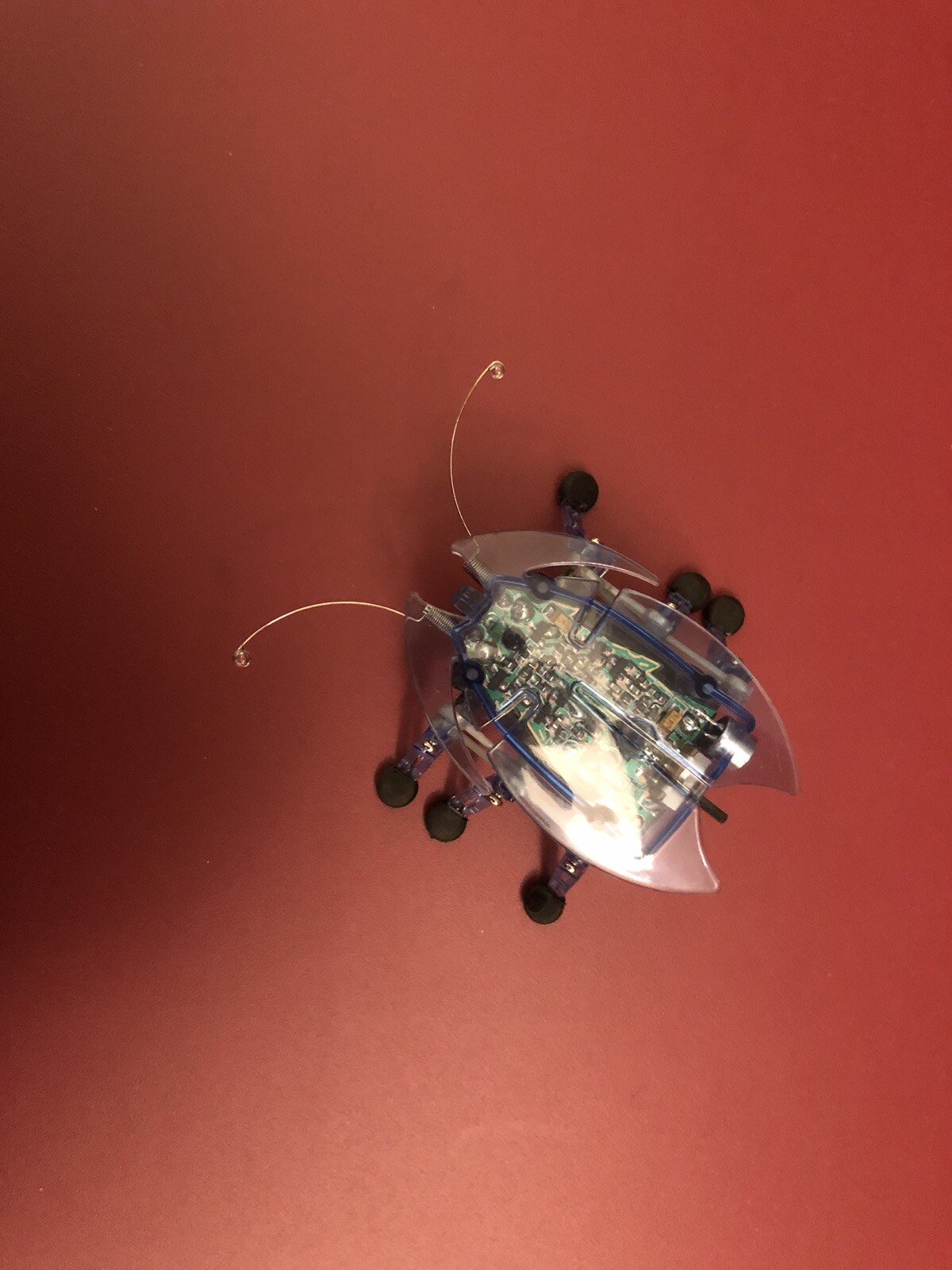 HEXBUG Blue Beetle Toy | eBay