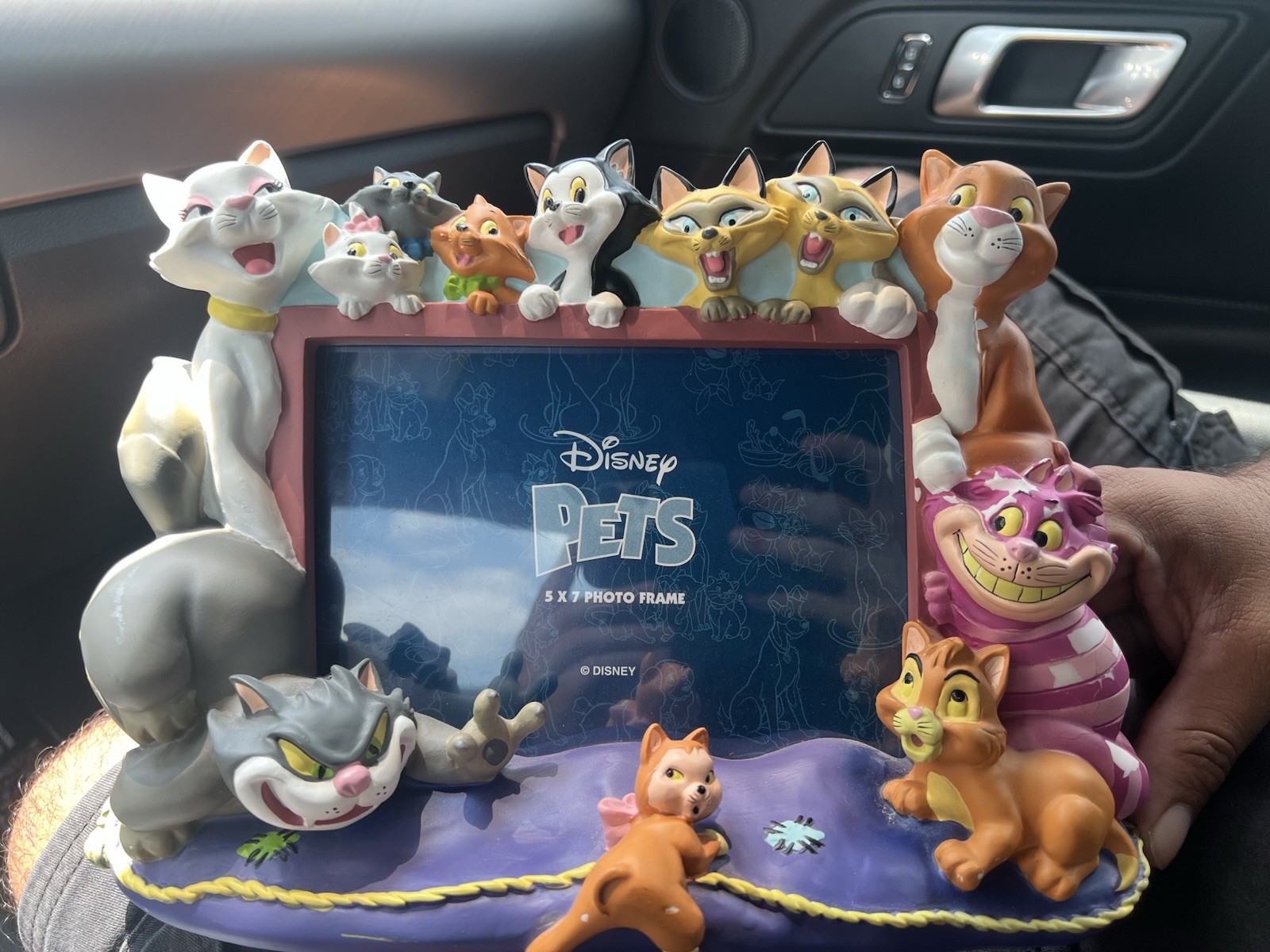 Disney Pets Cats Picture Frame 5x7" Photo 3D Aristocats Duchess ...