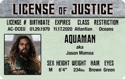 Justice LEAGUE of AMERICA Aquaman Jason Momoa Plastic ID card Drivers ...