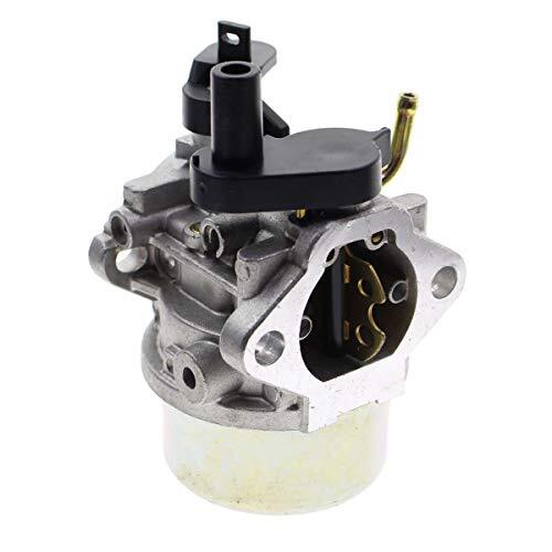 801396 Carburetor for Briggs & Stratton 801233 801255 Snowblower ...