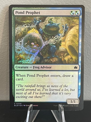 Pond Prophet - FOIL - Bloomburrow (BLB) MTG Magic | eBay